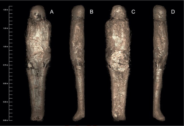 Mud shroud – Natalie Parletta, PhD